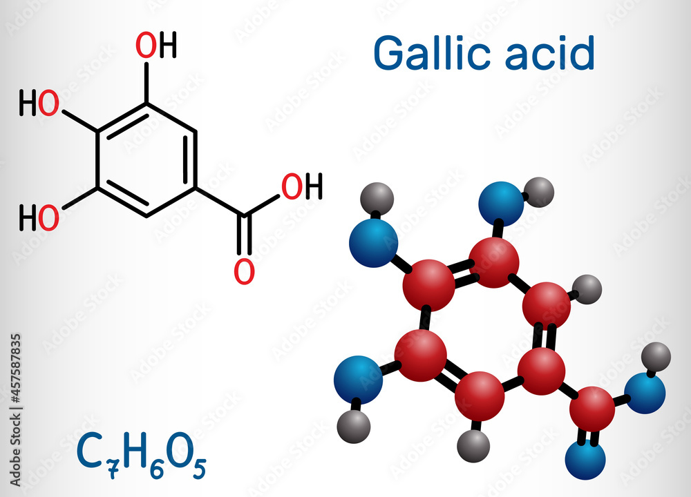 Gallic acid, trihydroxybenzoic acid molecule, is phenolic acid, found ...