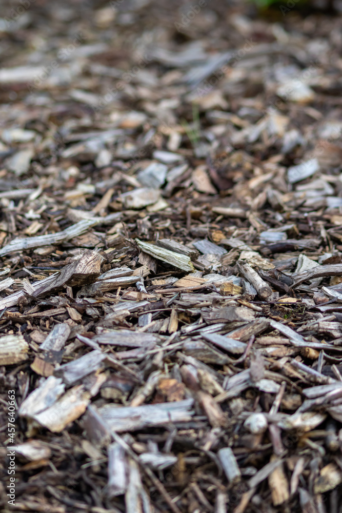 Shredded wood and wood chips after crushed recycling shows natural ...