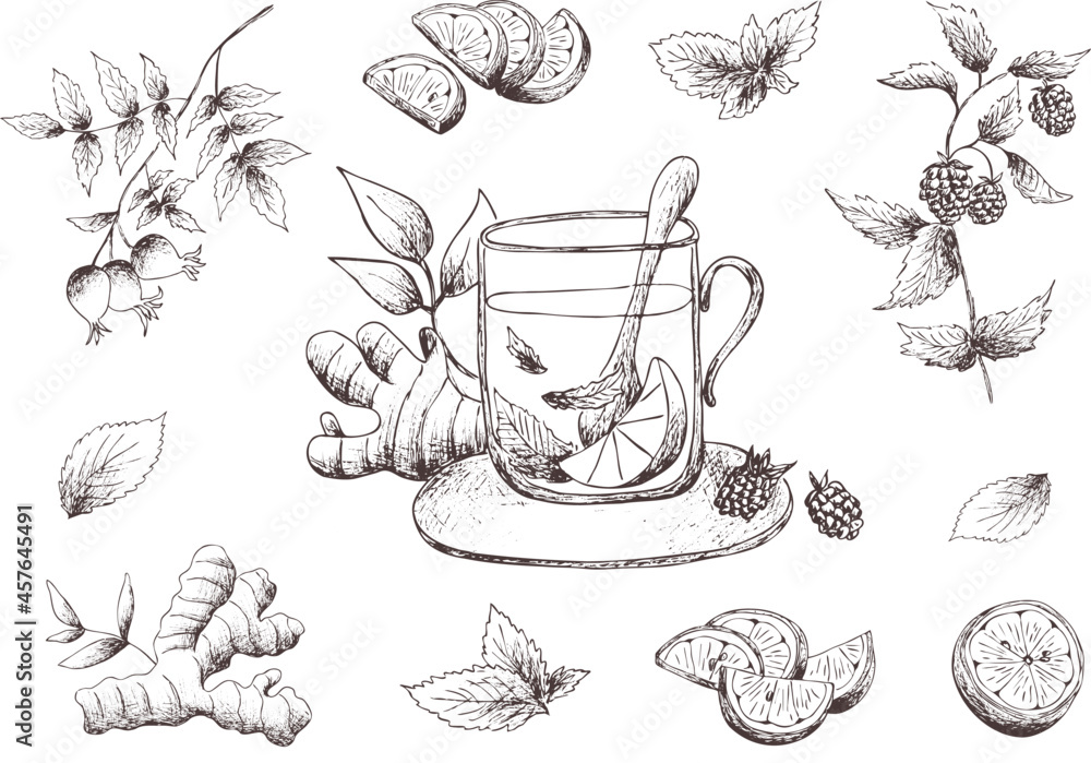 Hand drawn vintage outline detox vector image on transparent background ...