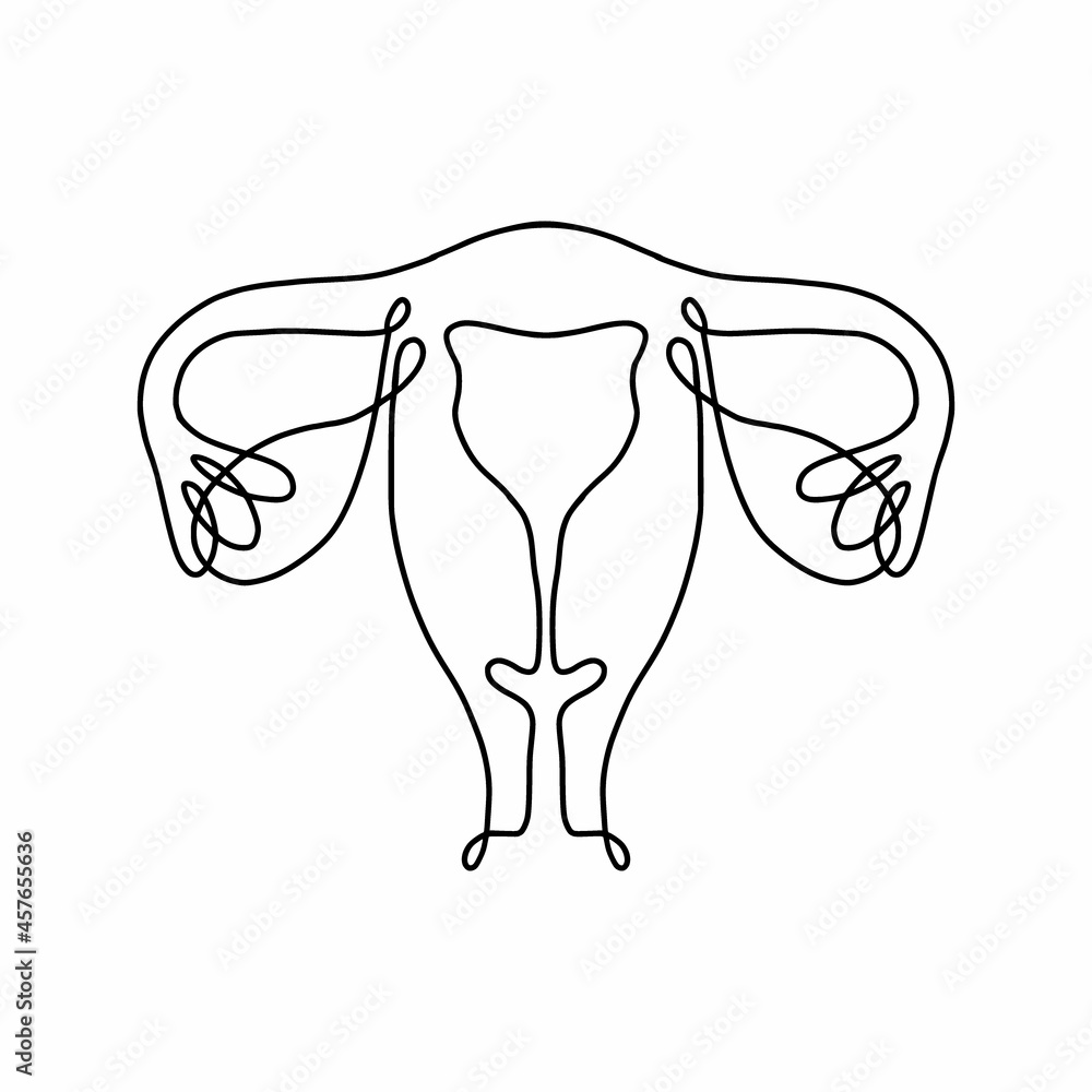 Female uterus drawn with continuous black line Stock Vector | Adobe Stock