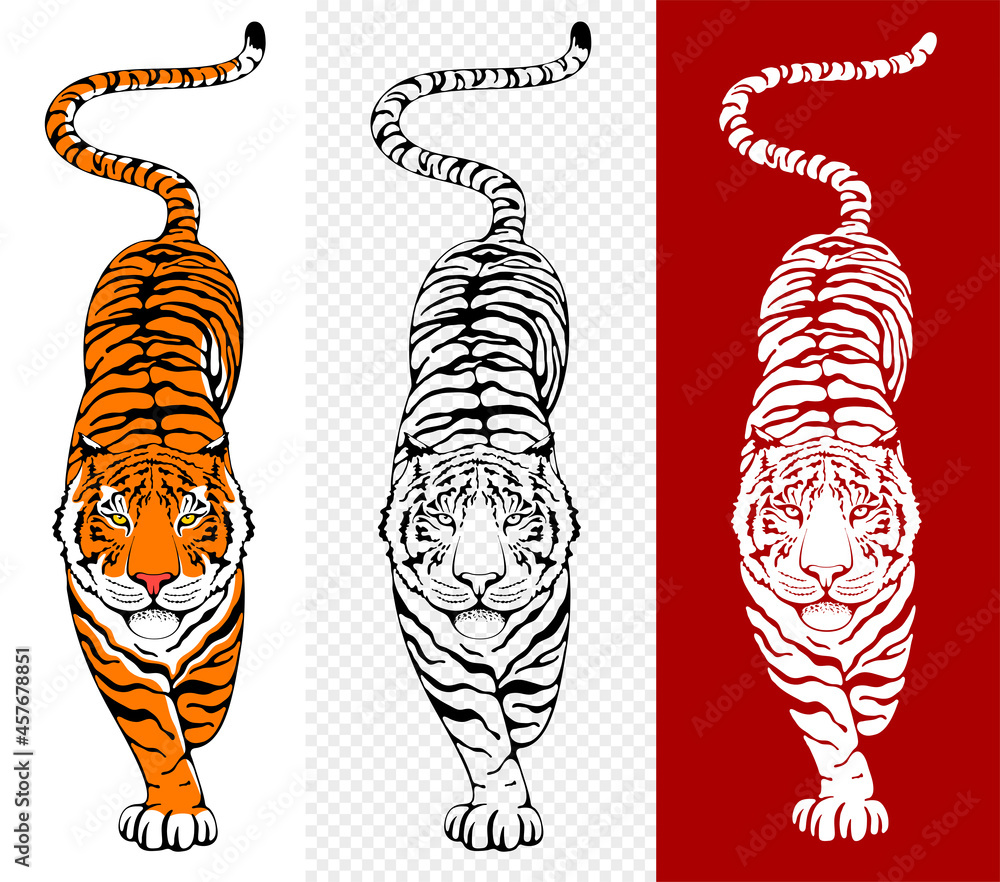 Walking tiger. Stylized characters set. Hand drawing by ink artwork ...