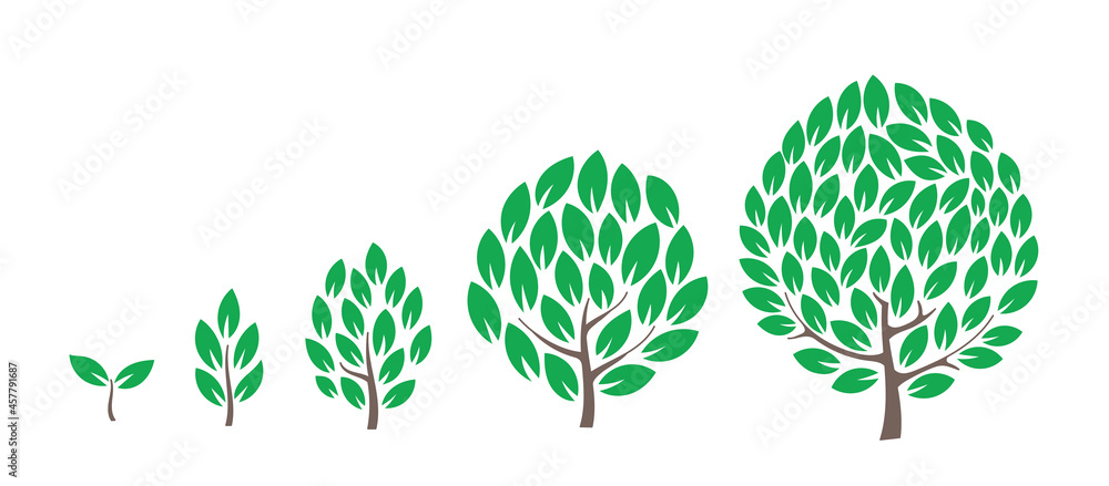 Vetor De Tree Growth Stages Seedling Development Stage Infographic vetor-de-tree-growth-stages-seedling-development-stage-infographic