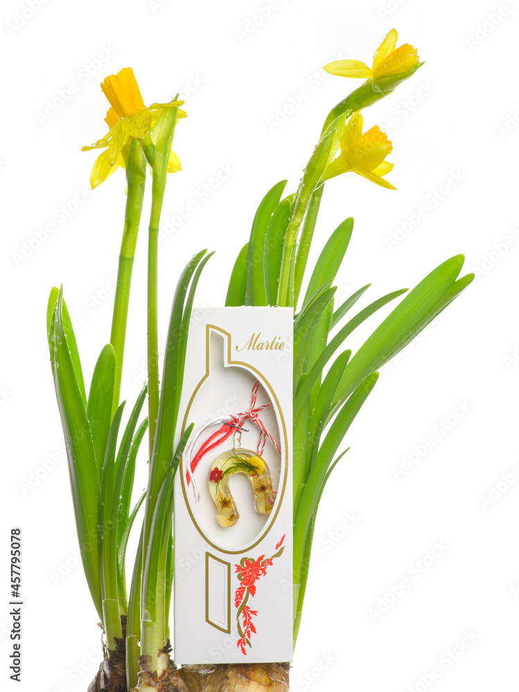 Martisor and daffodils on white background. 1st of March Romanian ...