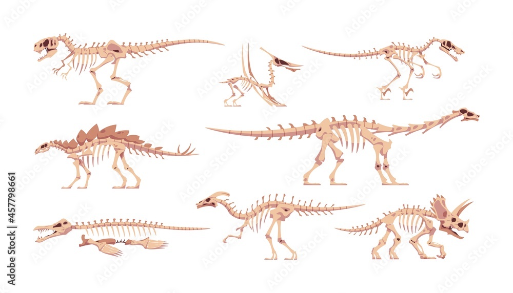 Dinosaur skeleton. Dino bones with skulls. Abstract tyrannosaurus or ...