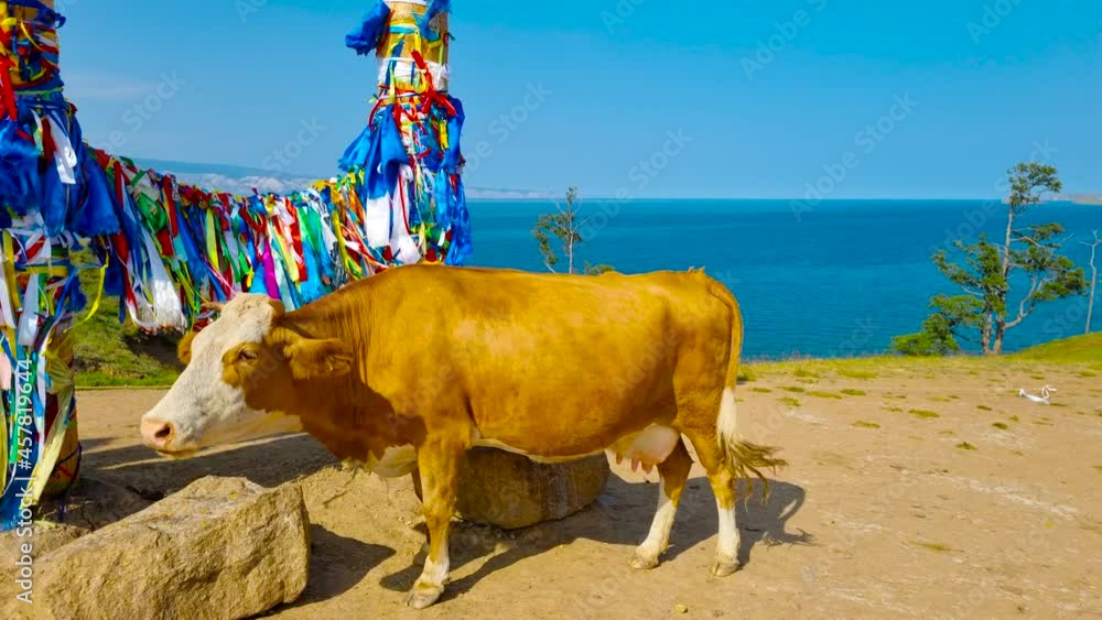 Thirteen pillars of sarge on Cape Burhan. A trip to Lake Baikal. Stock ...