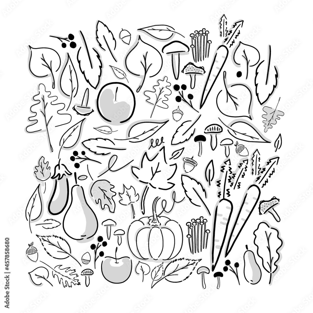 Fall vector illustration pack of pumpkin, mushrooms, fruits, vegetables ...