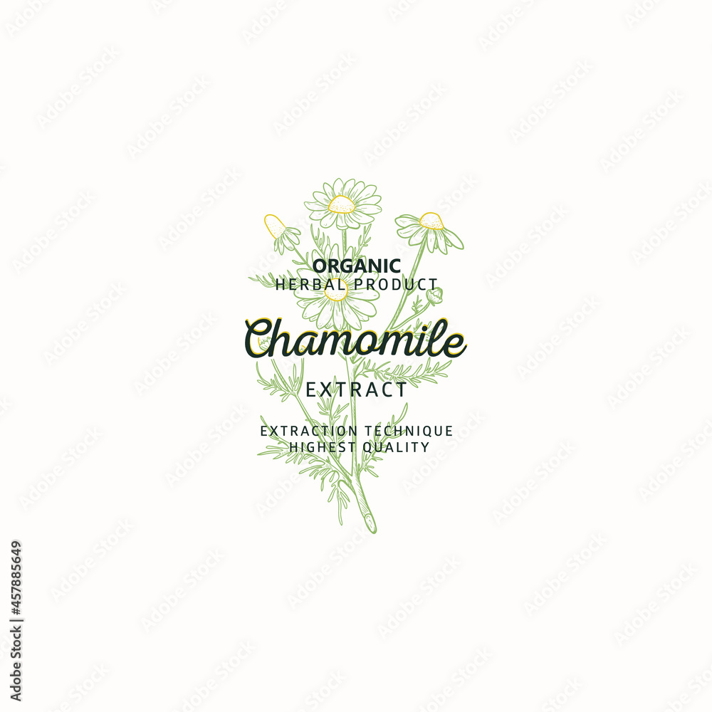 Chamomile symbol natural logo, vector brand identity in line sketch ...
