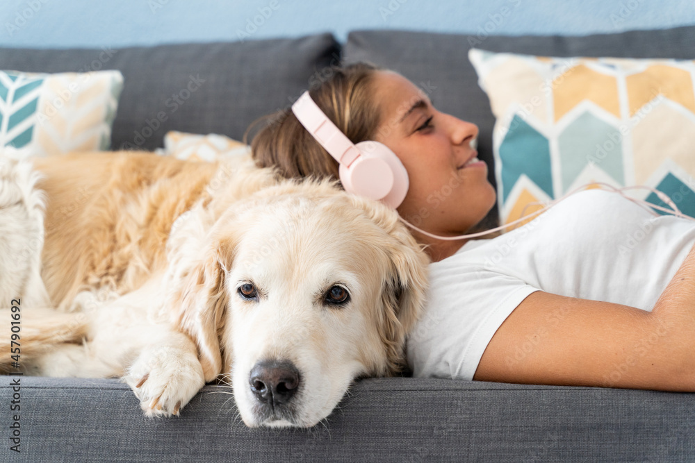 Can Dogs Understand Music