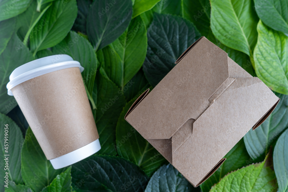 Compostable eco-friendly coffee cup and takeout cardboard box against ...