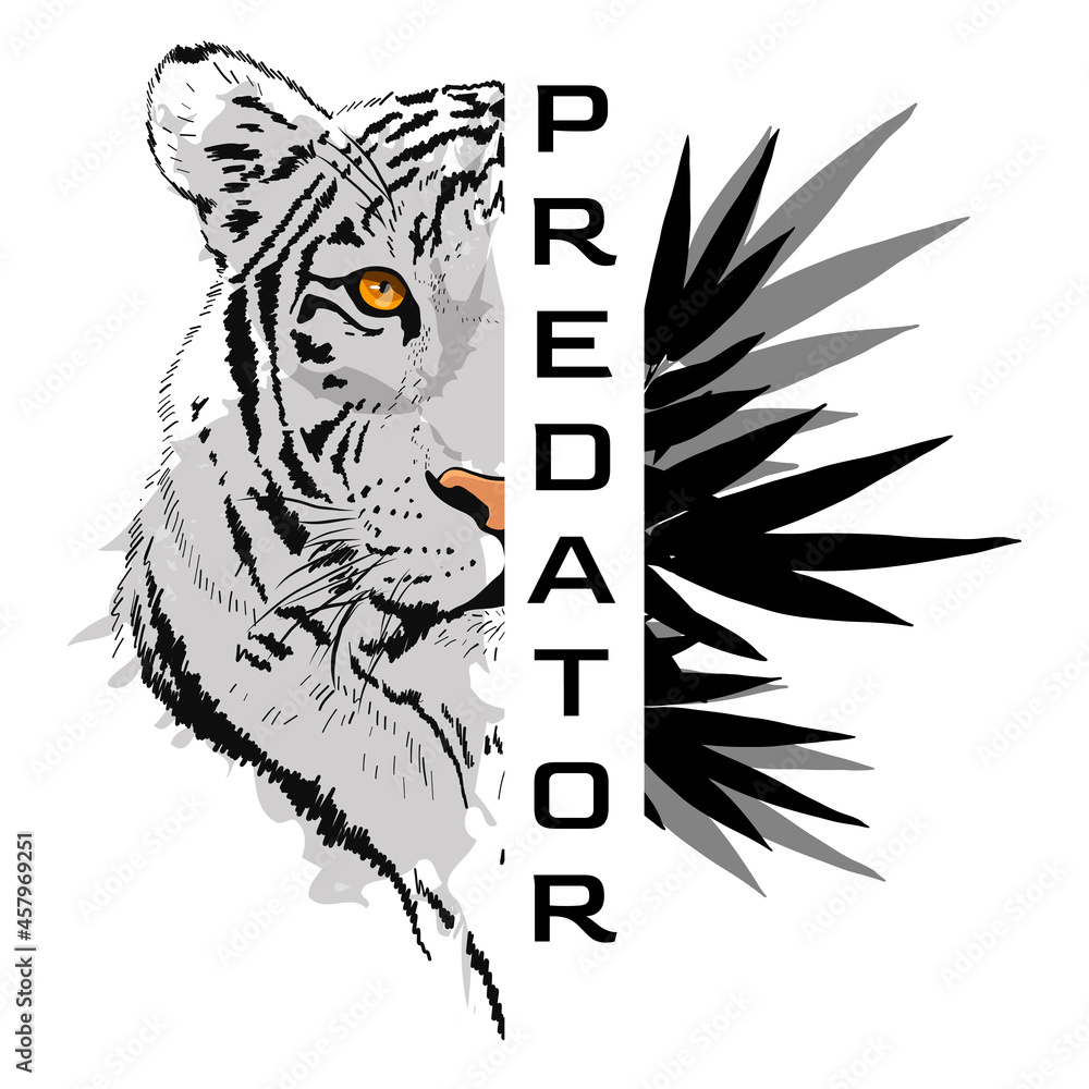Tiger, print on a T shirt, the inscription - predator. Surface printing ...