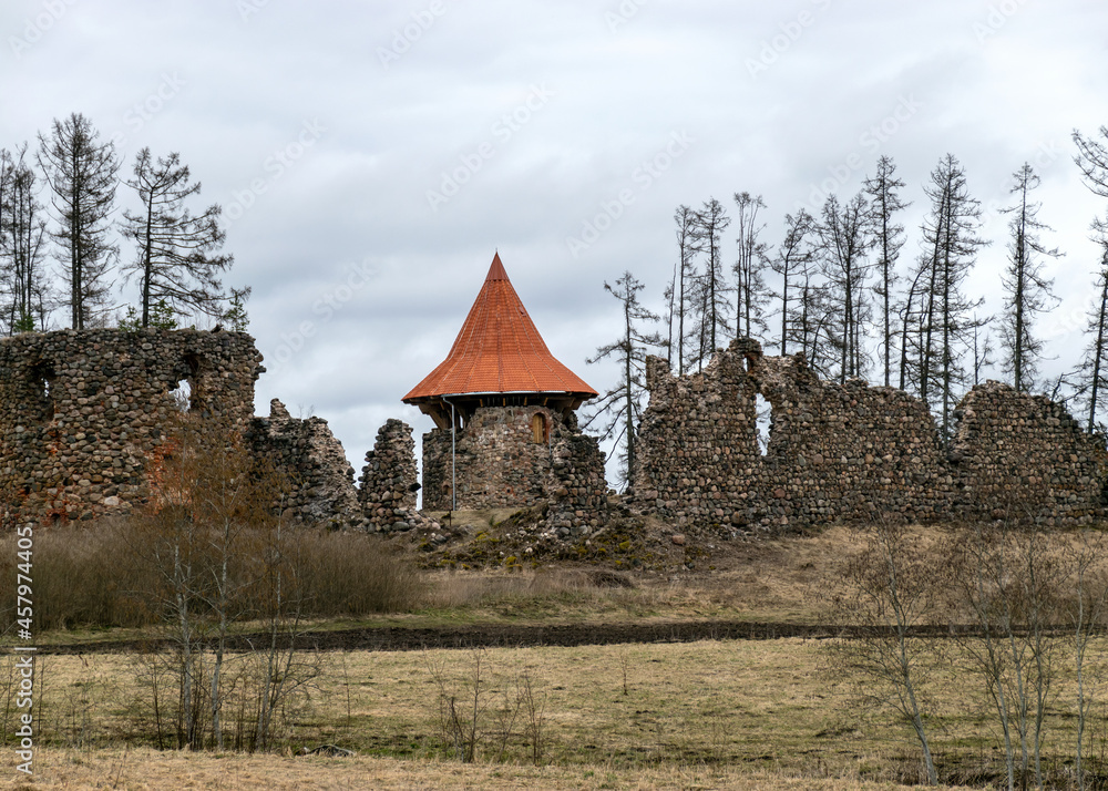 spring landscape with a view of the castle ruins, the new bright orange ...