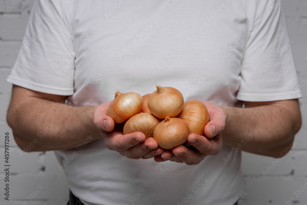 man hands holding a fresh onion onion in the palm of his hand side ...