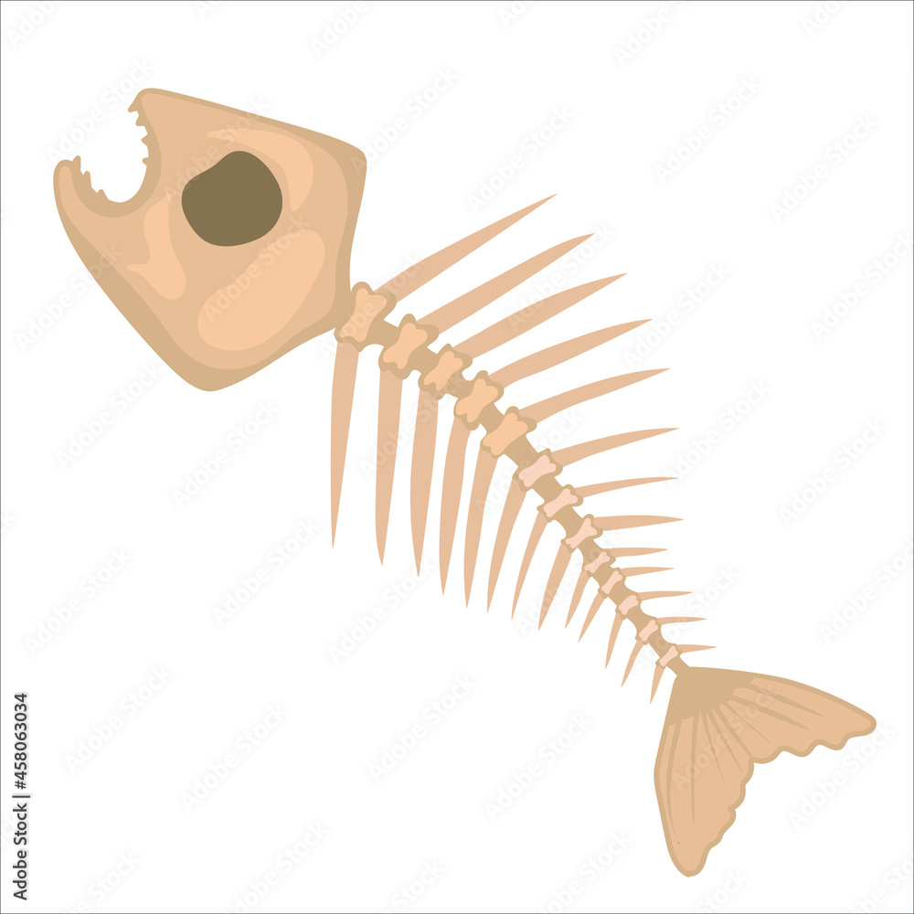 Hand-drawn Fish Skeleton isolated on white background. Food waste ...