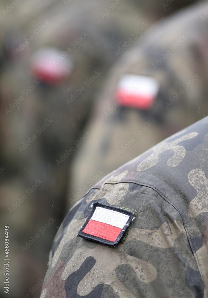 Polish Armed Forces. Armed Forces of the Republic of Poland. Flags of ...
