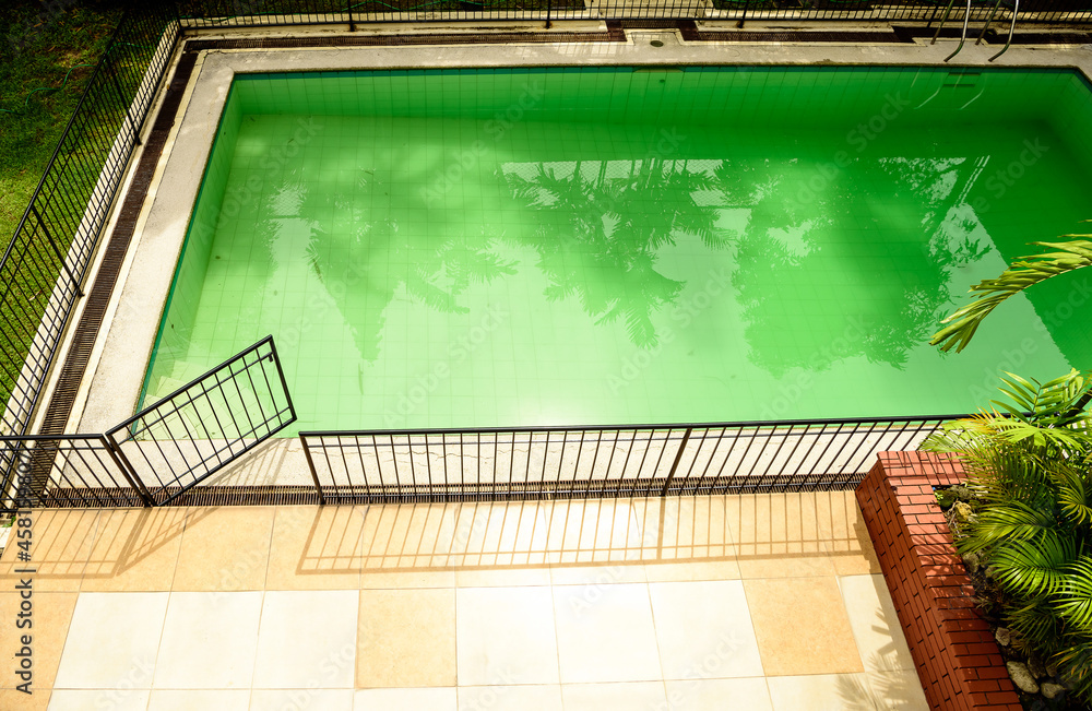 Top-down shot of dirty blurry green swimming pool with a small backyard ...