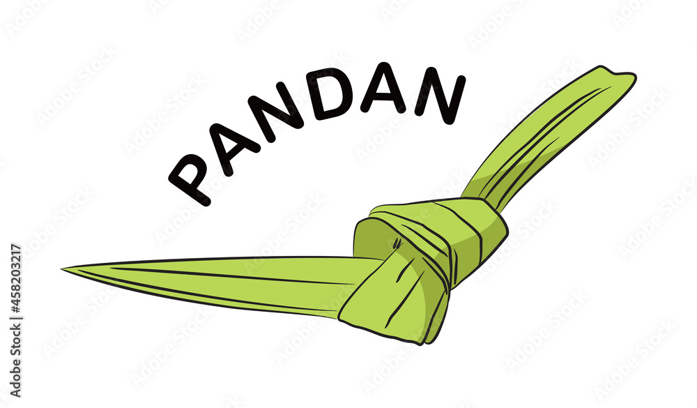 Pandan Leaves For Some Food Vector Sketch and Style Stock Vector ...