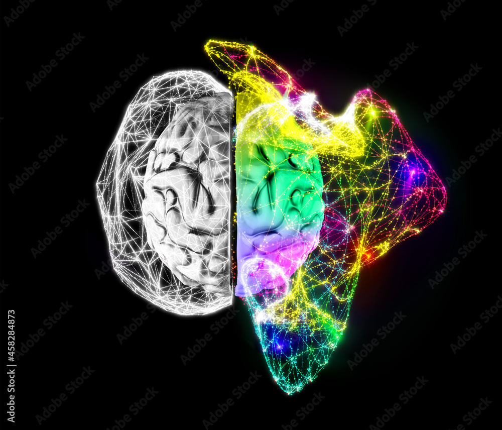 A human brain with the left and right cerebral hemispheres, in rainbow ...