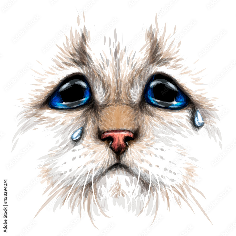 Cat. Creative design. Color portrait of a crying cat with blue eyes ...
