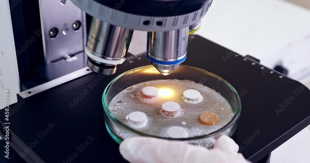 A scientist places a Petri dish with bacteria colonies on agar columns ...