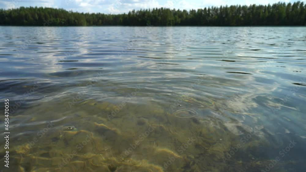 Video Stock Plastic trash in nature. A human hand takes a plastic ...