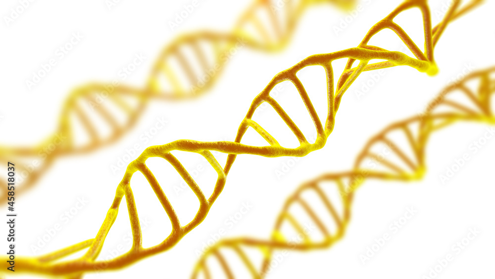 Viewed in an electron microscope DNA molecules on a white isolated ...