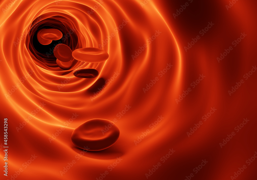 Cardiovascular system. Hematology, cardiology, medical care, medical ...