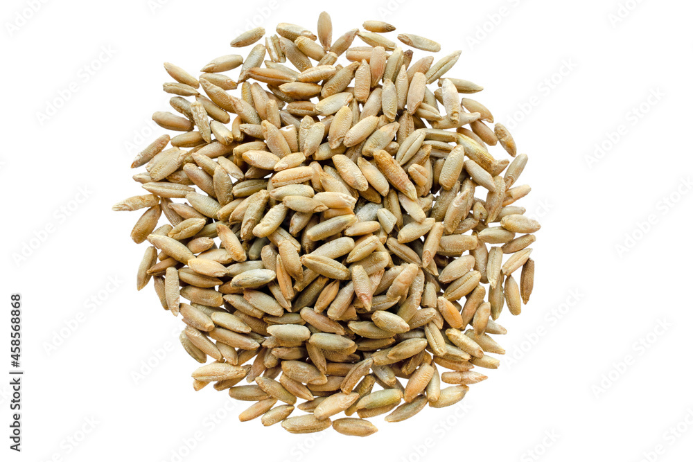 Rye seeds isolated on white, top view. Pile of rye seeds isolated on ...