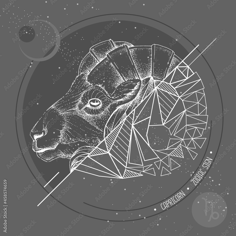 Realistic hand drawing and polygonal ram of mouflon head illustration ...