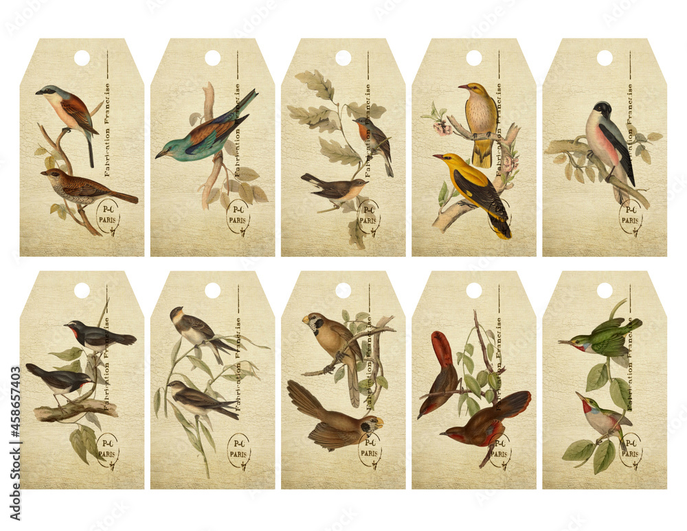 Vintage Bird Gift Tags Stock Photo | Adobe Stock