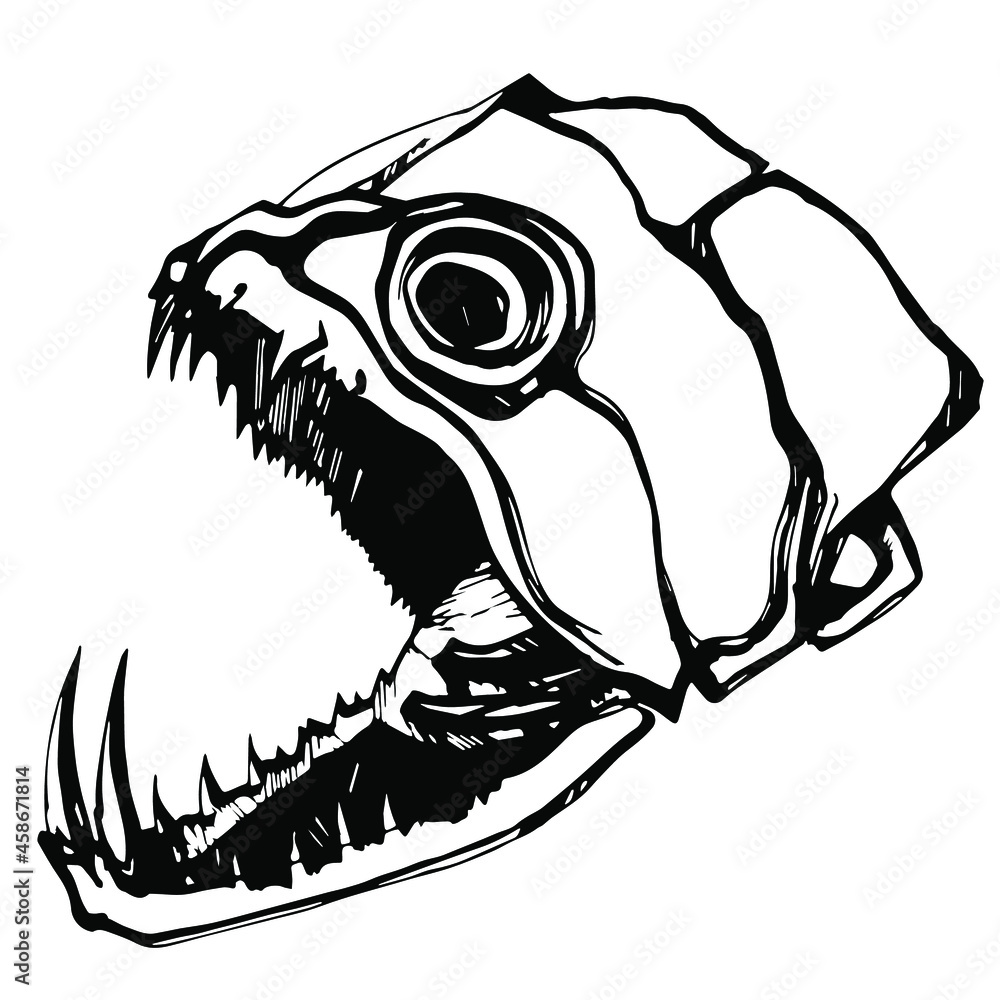 vector realistic line art freehand drawing of deep sea fish skull ...