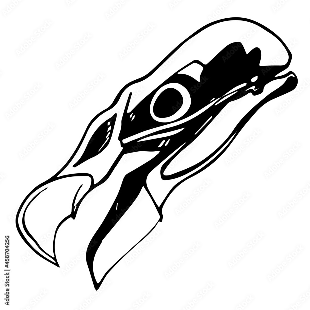 vector realistic line art freehand drawing of eagle or falcon skull ...
