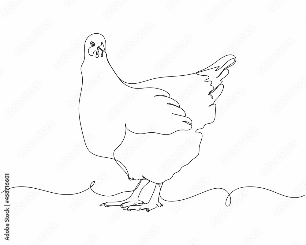 Continuous one line drawing of hen bird animal in silhouette on a white ...