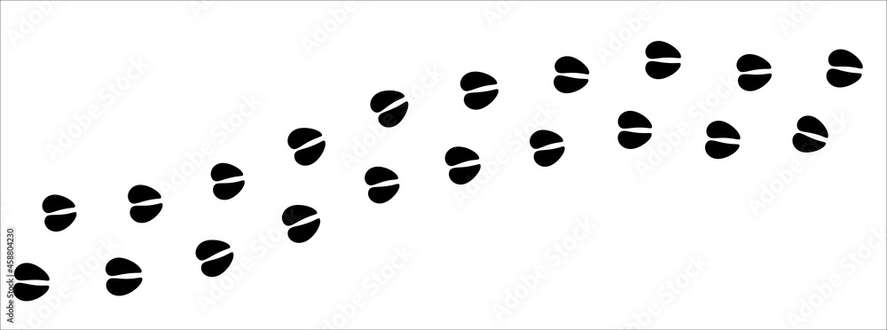 Cow footprint trail. Buffalo foot print trace. background vector ...