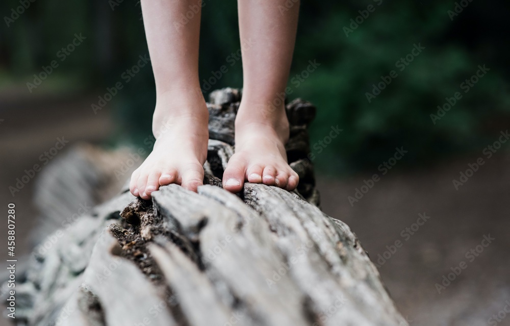 child's feet walking along a fallen tree in the forest Stock Photo ...