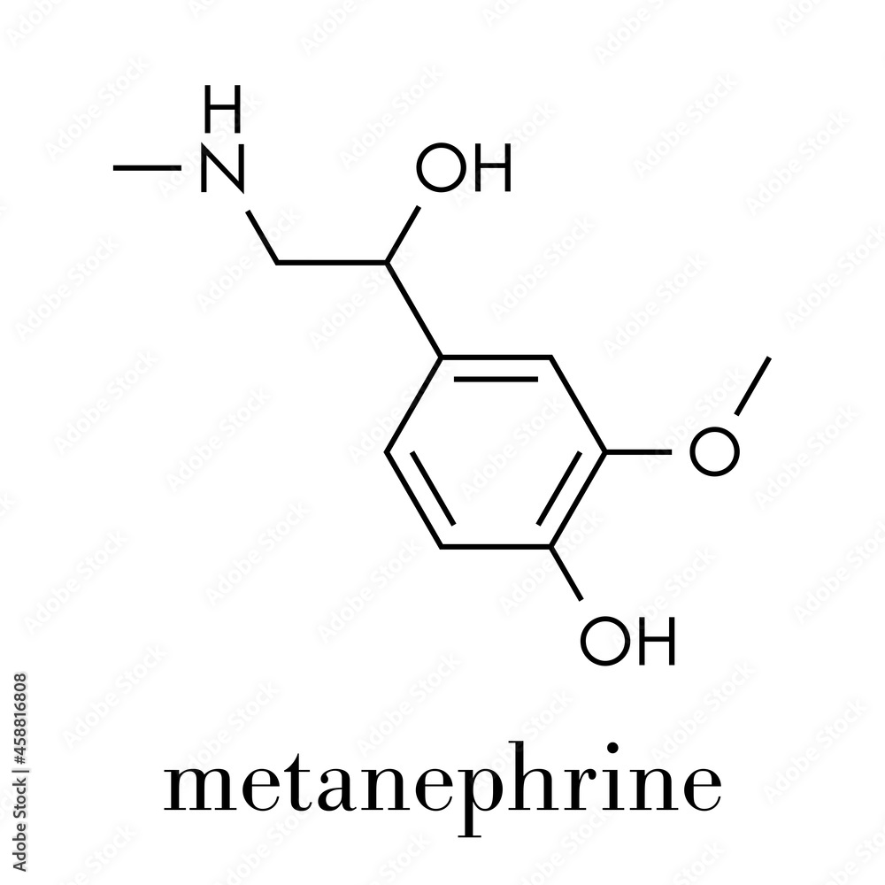 Metanephrine (metadrenaline) molecule. Metabolite of epinephrine that ...