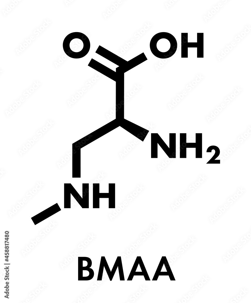 beta-Methylamino-L-alanine (BMAA) toxic amino acid molecule. Produced ...