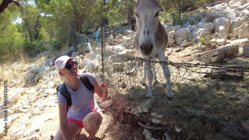 Woman petting donkeys in Dugi Otok Long Island. Telascica and Kornati ...