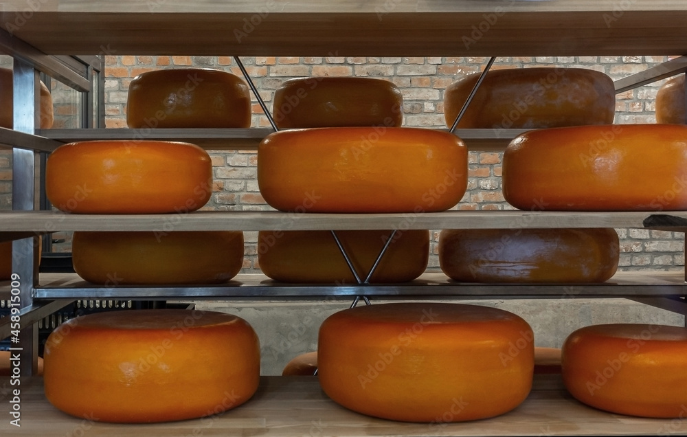 Production shelves of a cheese dairy with aged old cheese, storage and ...