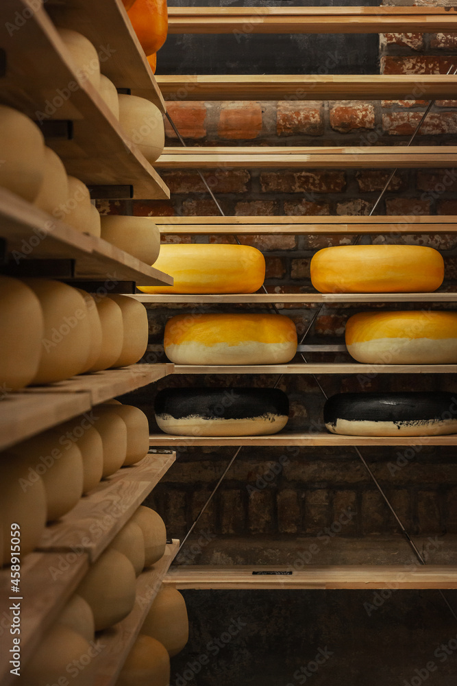 Production shelves of a cheese dairy with aged old cheese, storage and ...