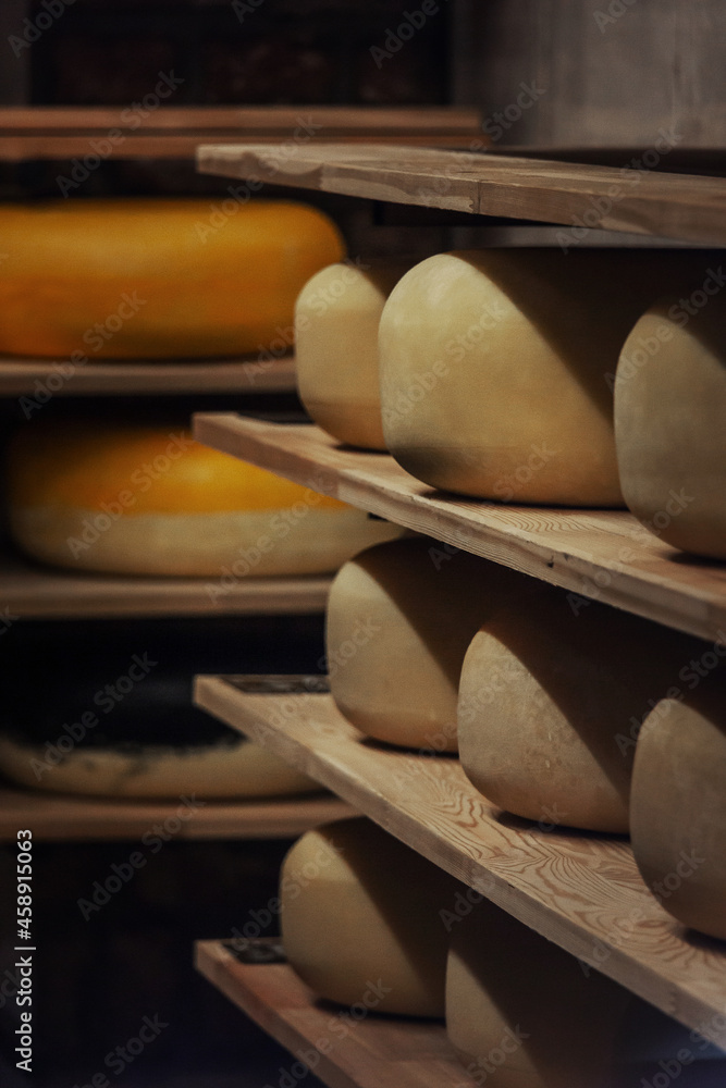 Production shelves of a cheese dairy with aged old cheese, storage and ...