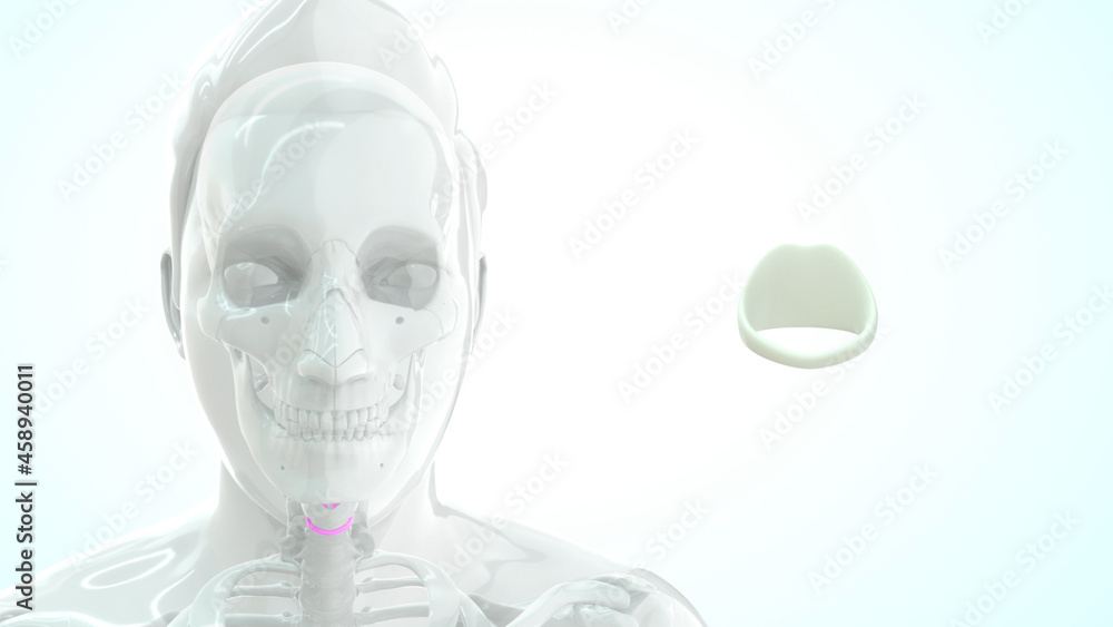 cricoid cartilage is to provide attachments for the cricothyroid muscle ...