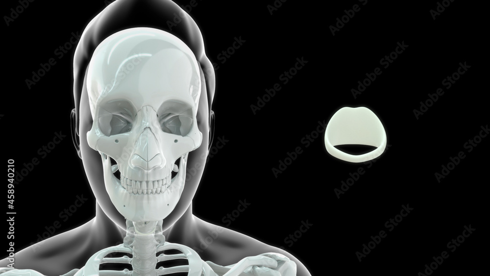 cricoid cartilage is to provide attachments for the cricothyroid muscle ...