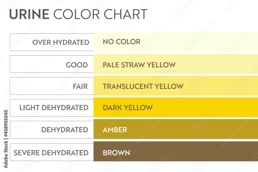 Urine color chart. Pee hydration and dehydration test strip. Vector ...