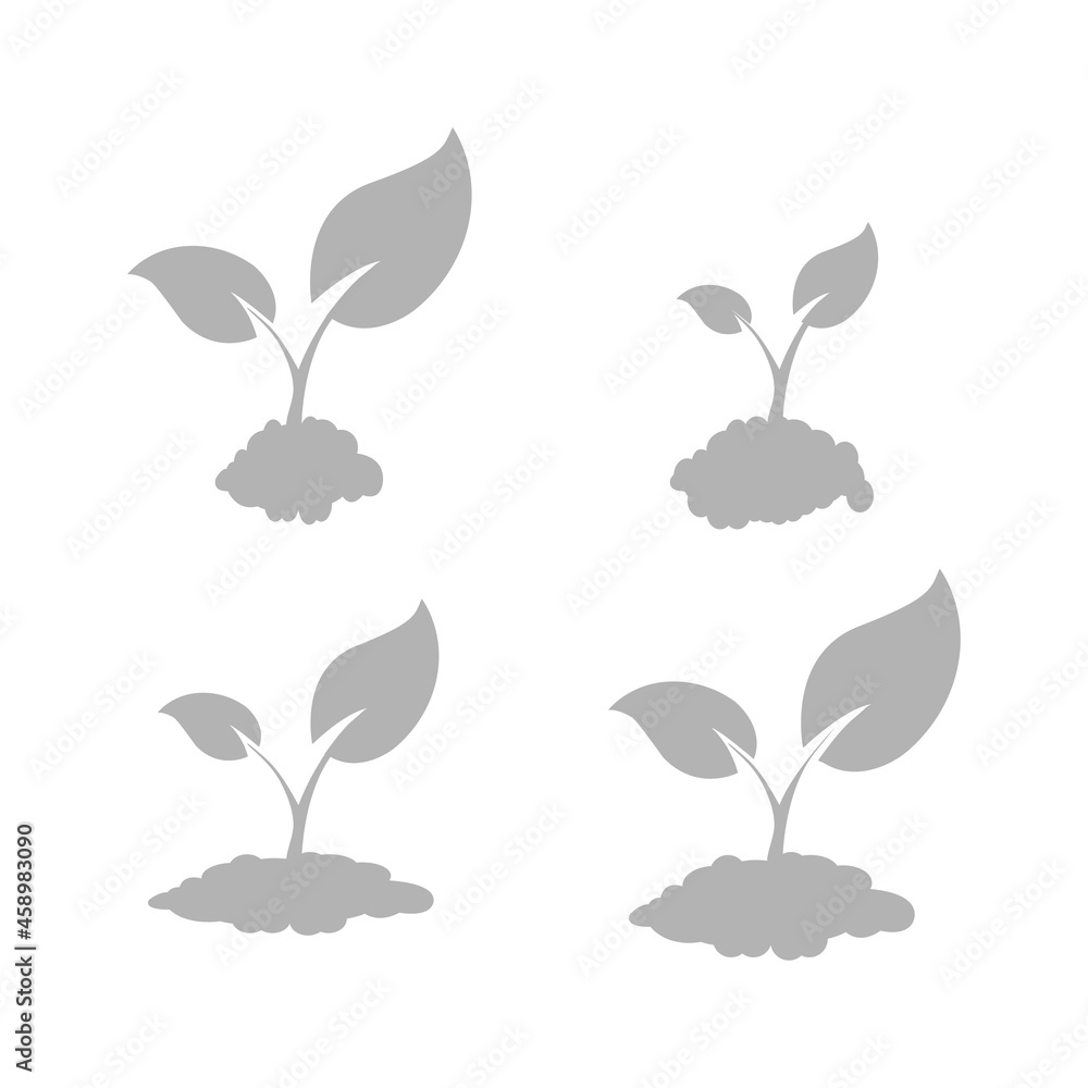 The tree that grows from seed is a big tree with green color and the ...