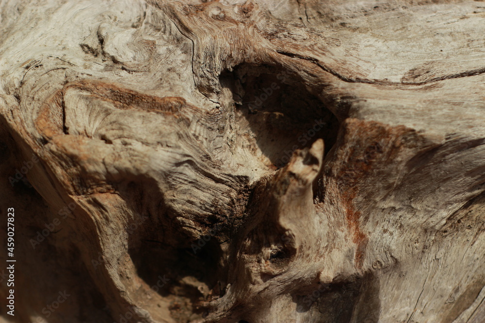 Natural abstract wood texture, have textured by wind, storm, rain, and ...