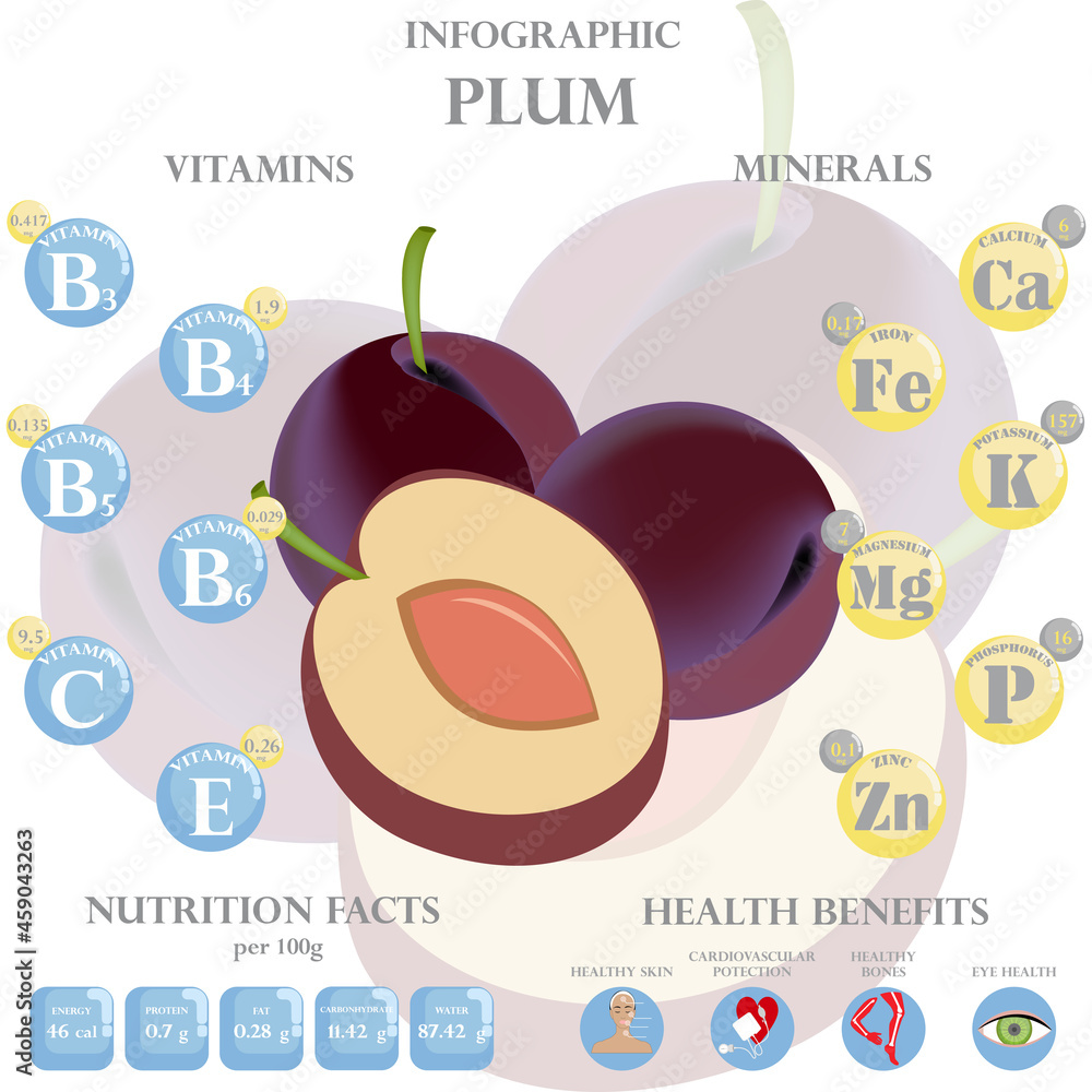 Plum nutrition facts and health benefits infographic Stock Vector ...