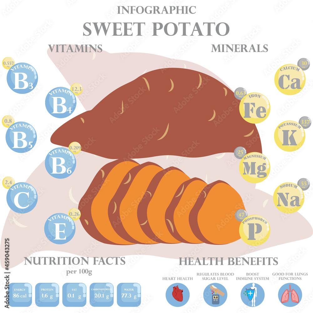 Sweet potato nutrition facts and health benefits infographic Stock ...