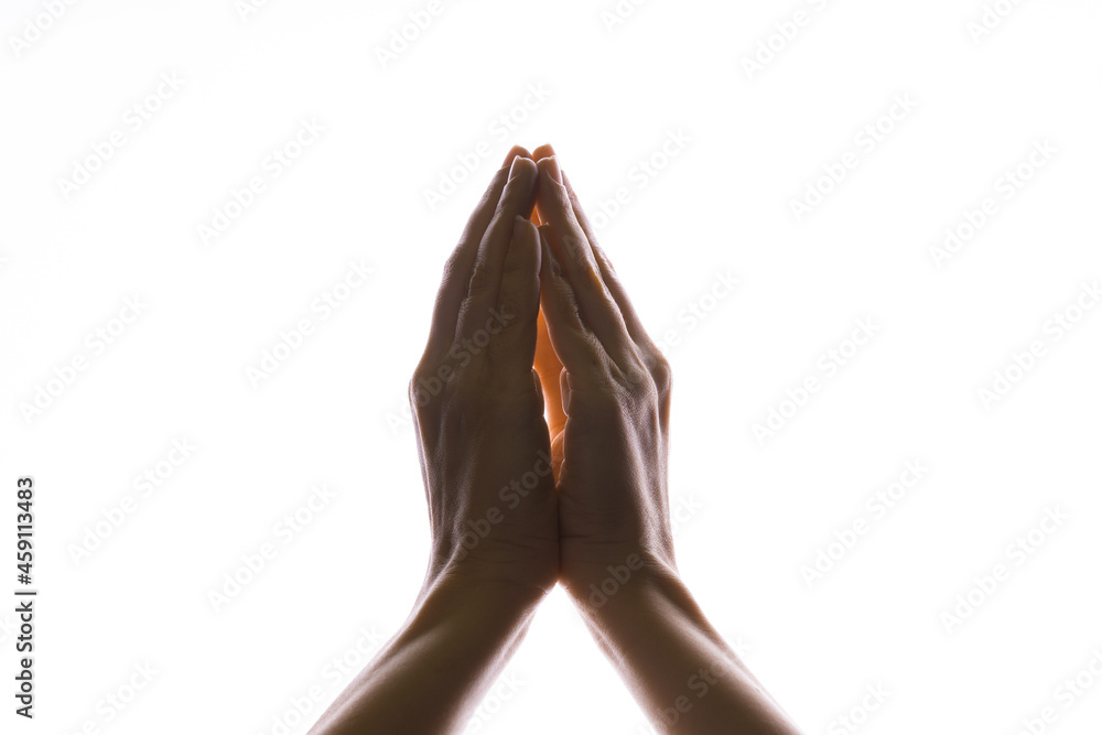 Praying hands on a white background. Light from above. Hands folded in ...