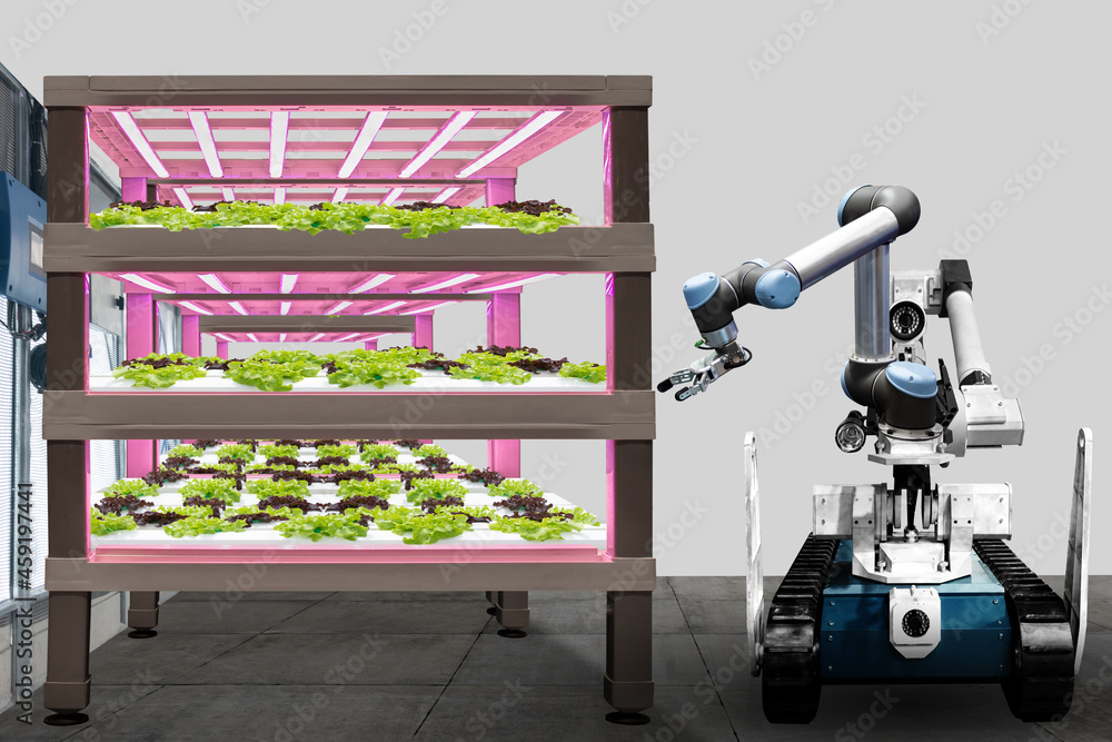 Smart robotic farmers analyze the growth and harvesting vegetables ...
