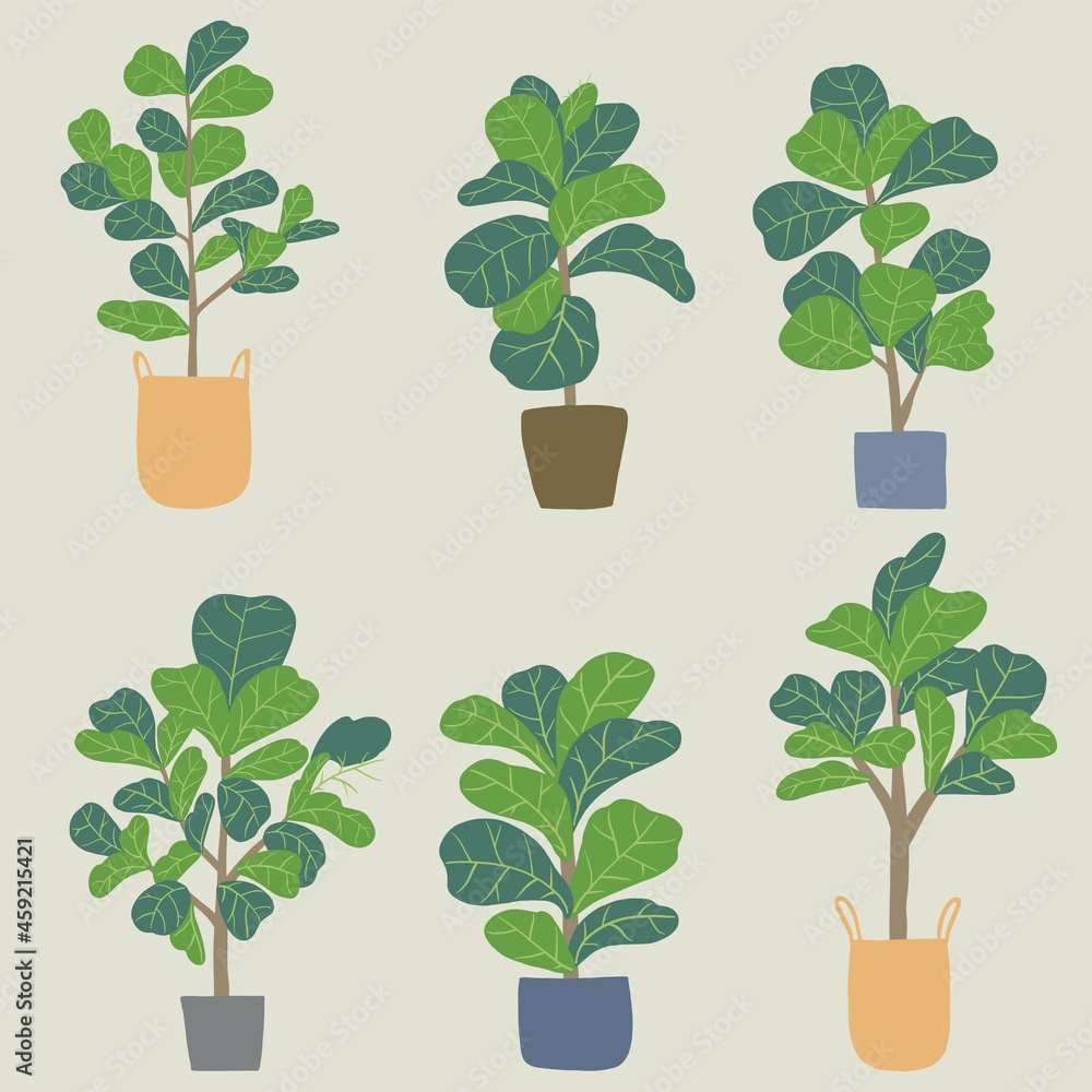 Doodle freehand sketch drawing of fiddle leaf fig tree collection ...